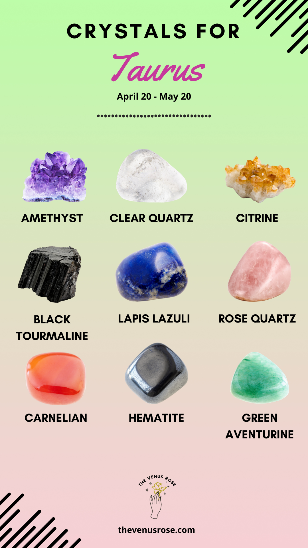 Unique Taurus Personality Traits - The Venus Rose